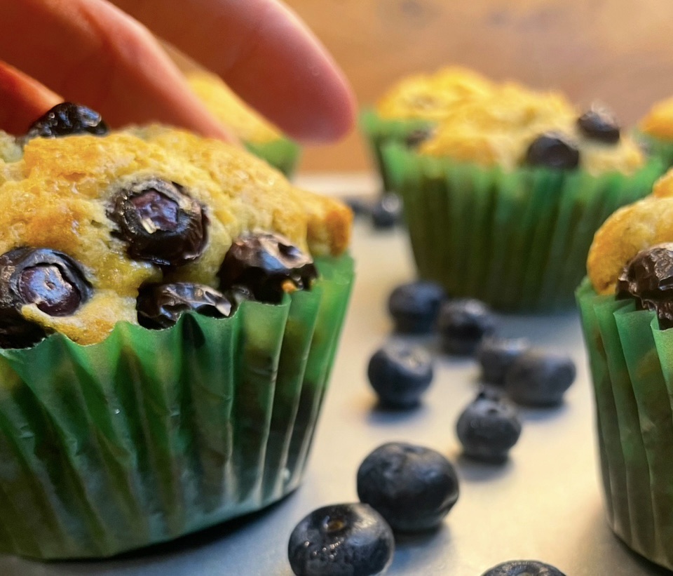 Moist and Tarte Blueberry Muffins Recipe – Live Loaf Love